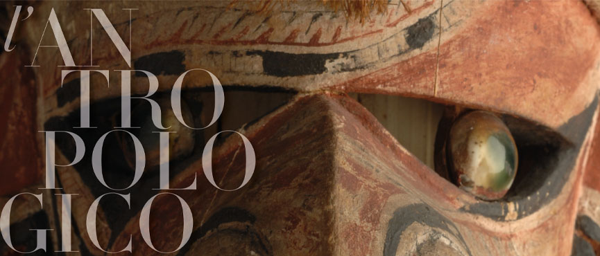 Antropologia | Museo di storia naturale | SMA: Sistema Museale di ...